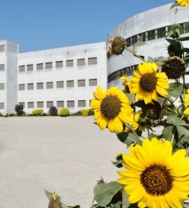 Aror University - Home