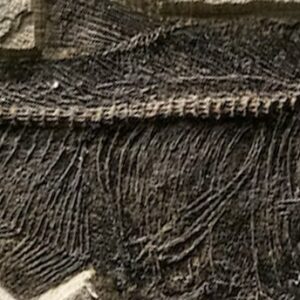 Aror University - Home