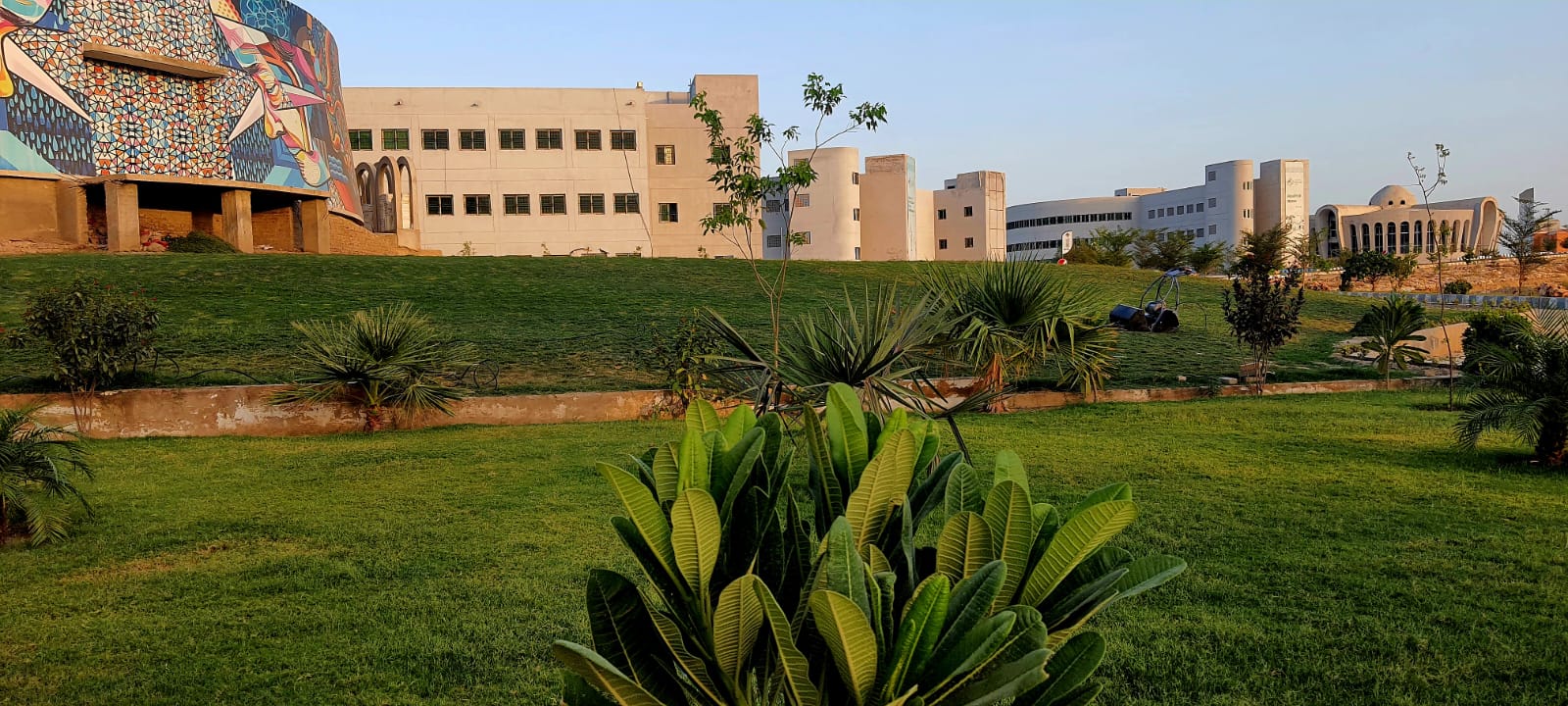 Aror University - Home