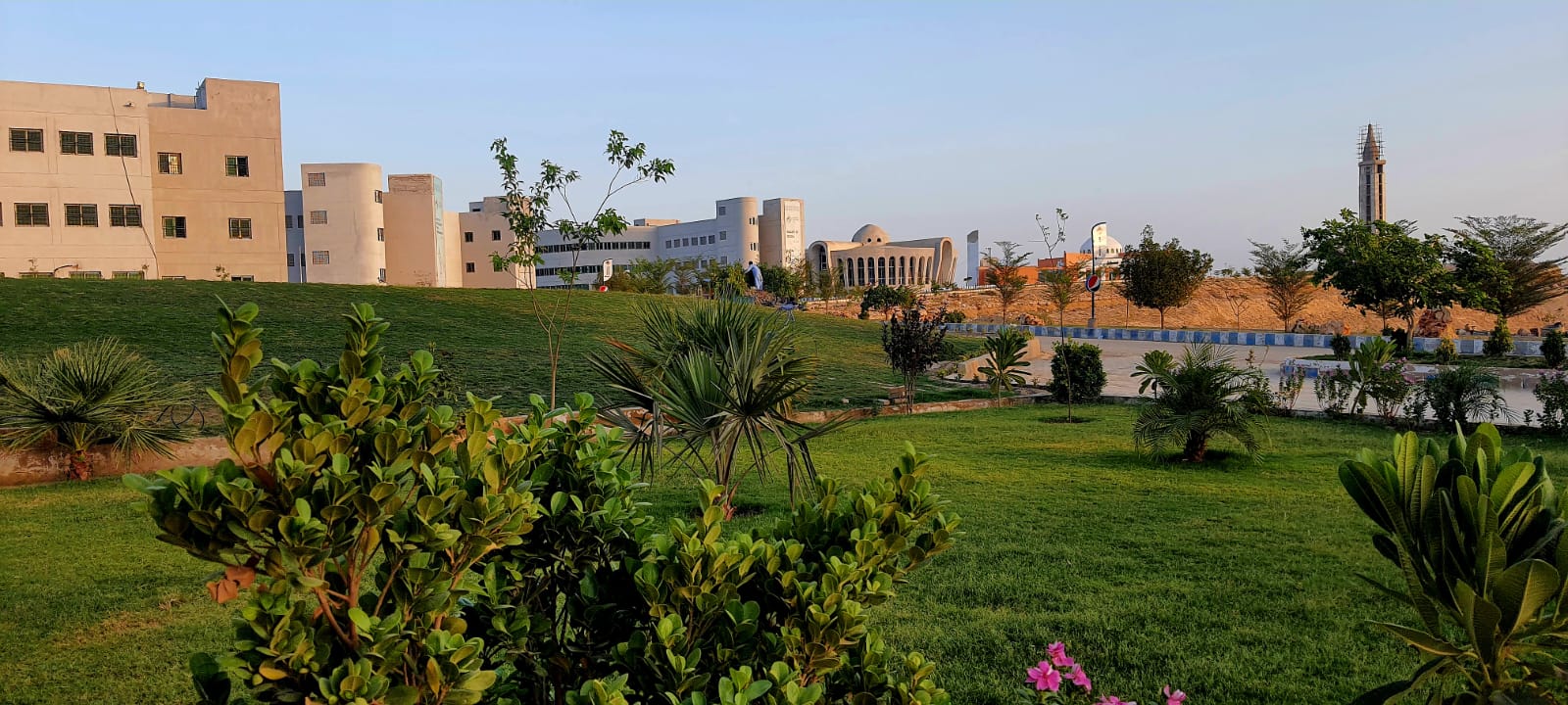 Aror University - Home