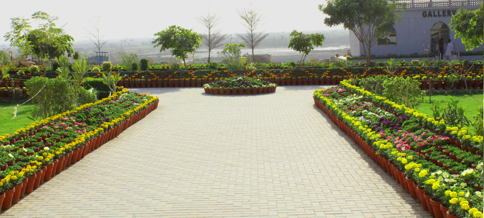 Aror University - Home